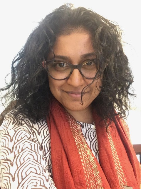 Professor Anooradha Iyer Siddiqi Receives a Graham Foundation Grant ...
